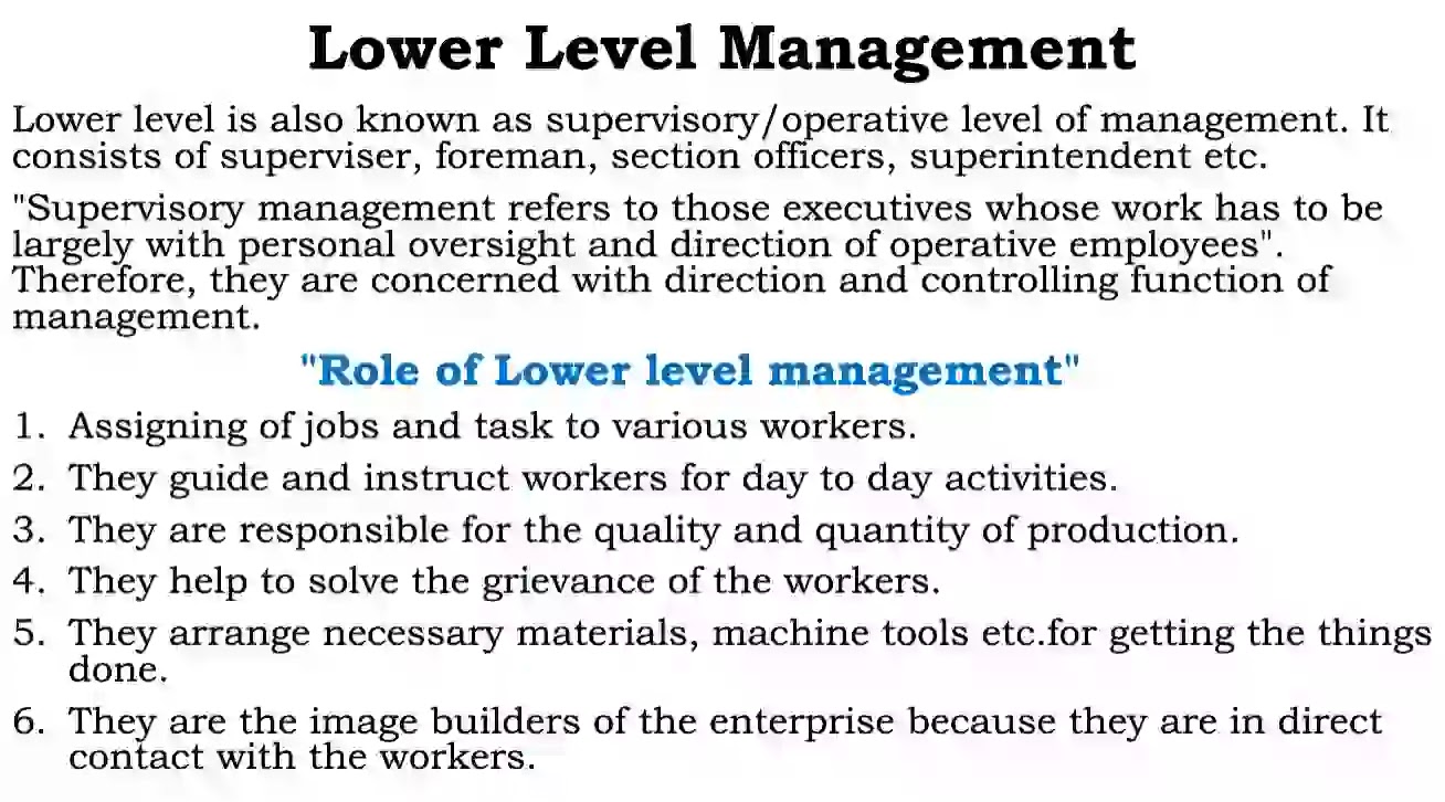 Levels of Management – Top, Middle and Lower Level - DynamicStudyHuB